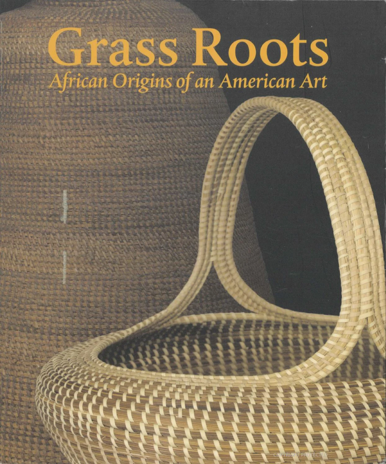 Grass Roots: African Origins of an American Art